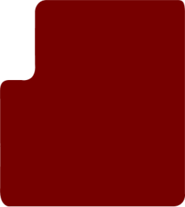 Africa Renewal University